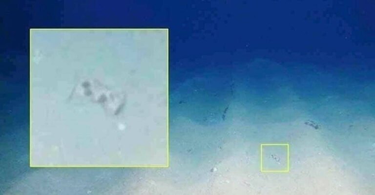FACT CHECK: Did The Logitech Controller Survive The Titan Submersible ... FACT CHECK: Did The Logitech Controller Survive The Titan Submersible ...